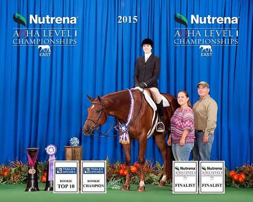 JD Performance Horses on EquineNow