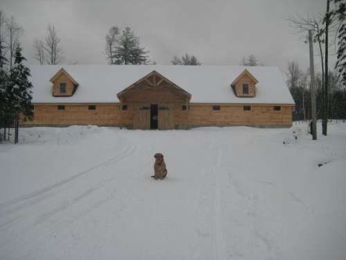 Harrington Stables on EquineNow