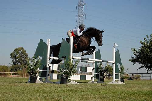Circle T Ranch on EquineNow