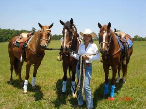 Hidden Treasure Farm on EquineNow