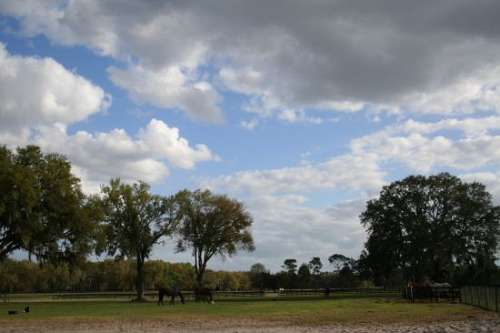 Fair Play Farm Inc. on EquineNow