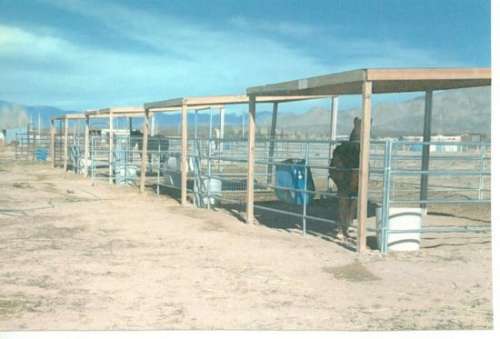 Stolen Horses Ranch on EquineNow