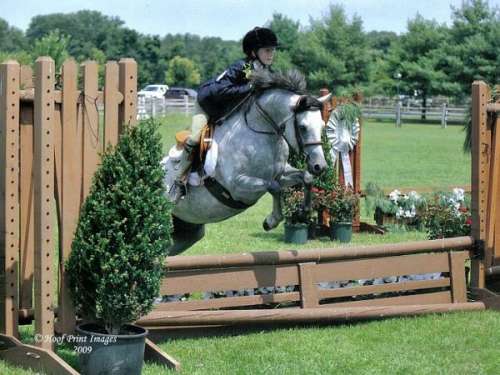 Sweet Meadow Stable LLC on EquineNow