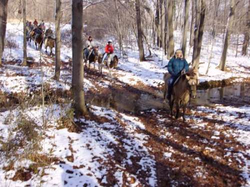 Foggy Bottom Farm on EquineNow