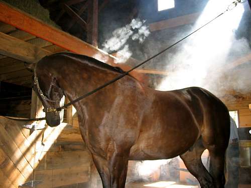 Walker Stables at Johnson Farm on EquineNow