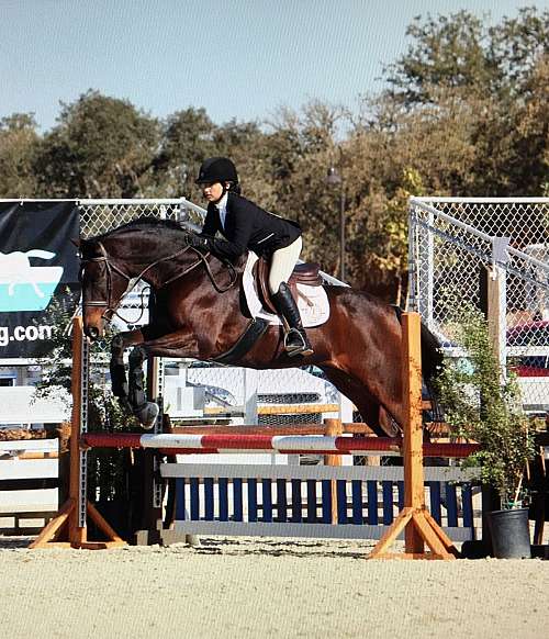 Circle T Ranch on EquineNow