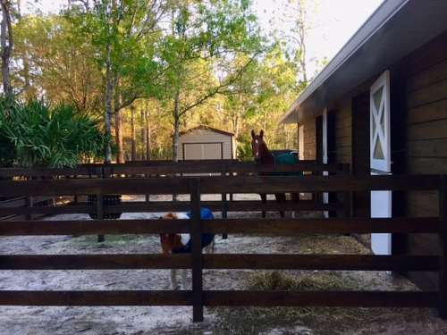 Triple C Farms of Florida on EquineNow