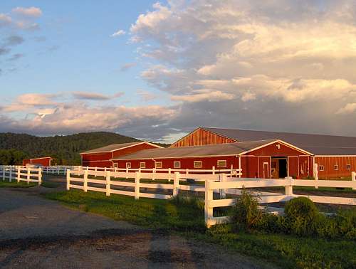 Gracefield Farm on EquineNow