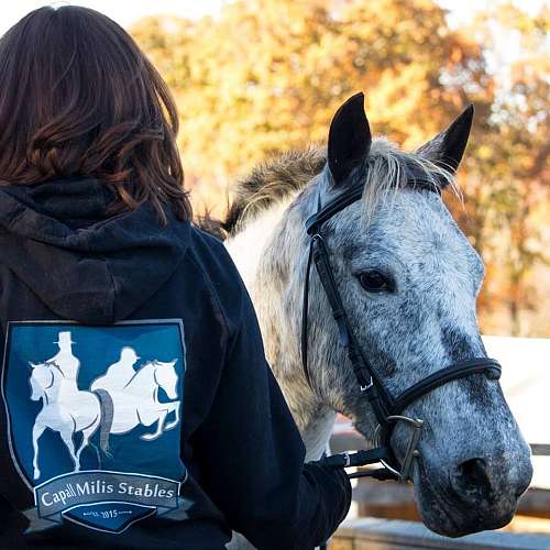 Capall Milis Stables on EquineNow
