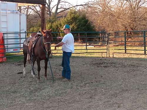 Thomas Bockholt Farrier on EquineNow