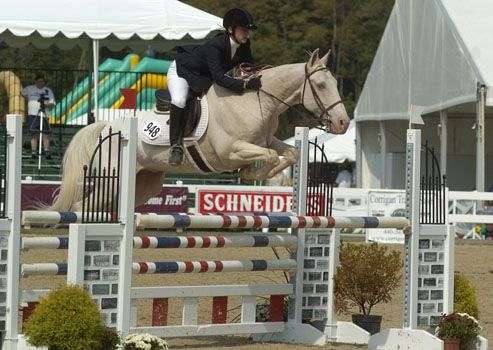 Rockin' Horse Stables on EquineNow