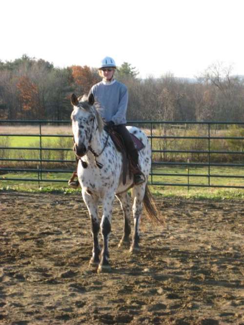 Infinity Farm on EquineNow