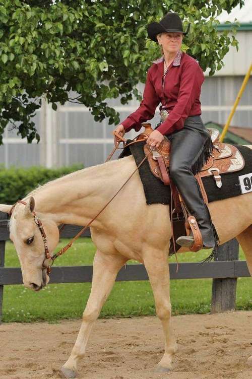 JL Performance Horses on EquineNow