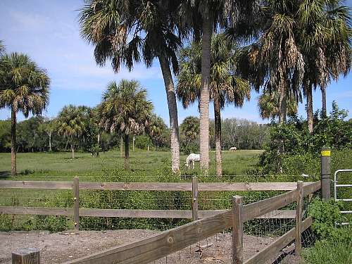 Buffalo Creek Stables on EquineNow