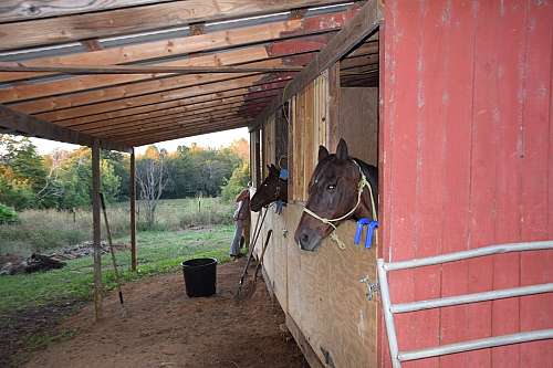 HayWire Ranch on EquineNow