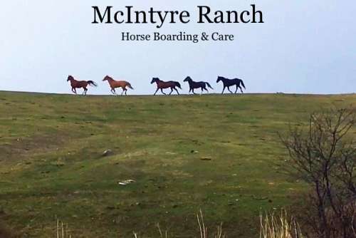 MCINTYRE RANCH on EquineNow