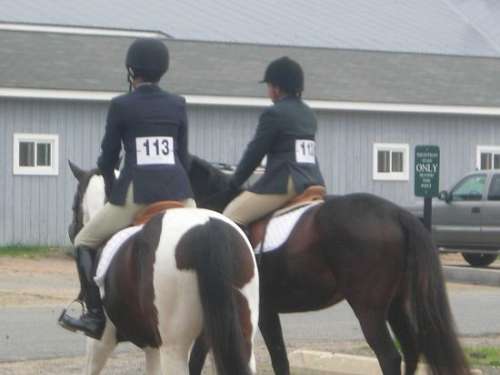 King's Secret's Stables on EquineNow