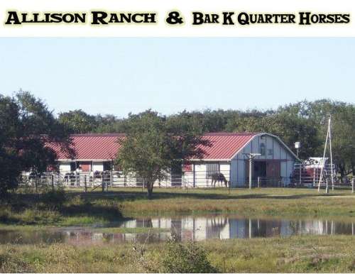 Allison Ranch and Bar K Quarter Horses on EquineNow