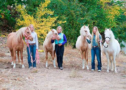 Real Pony Girls on EquineNow