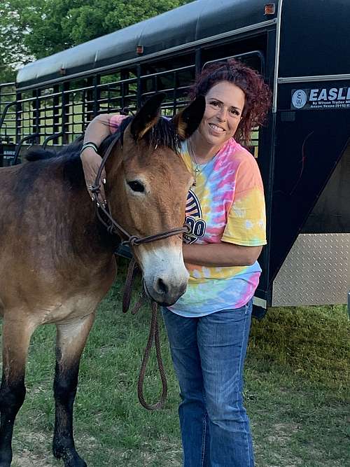 Walk In Faith Animal Rescue LLC on EquineNow