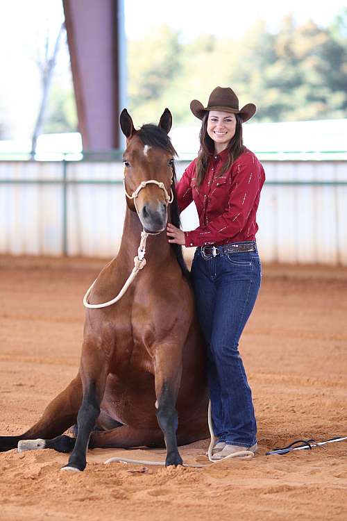 Schultz Performance Horsemanship on EquineNow