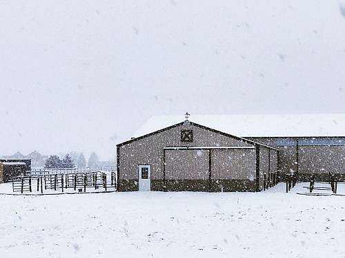 Stargazer Ranch on EquineNow