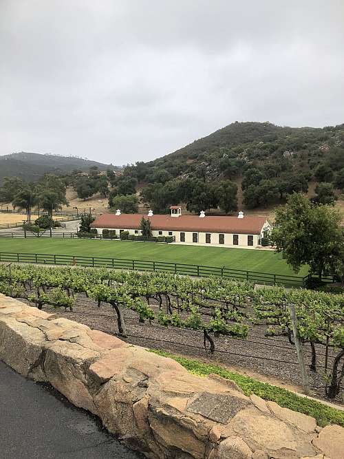 Melrose Ranch on EquineNow