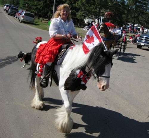 Sunnybrook Stables on EquineNow