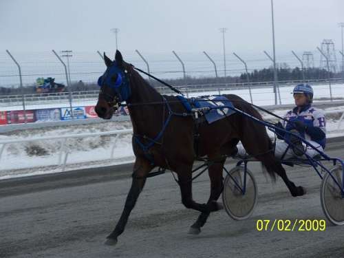 HANNAH RACING STABLES on EquineNow