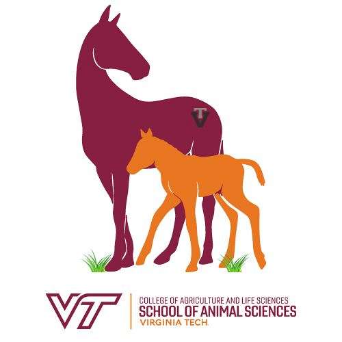 Virginia Tech Equine on EquineNow