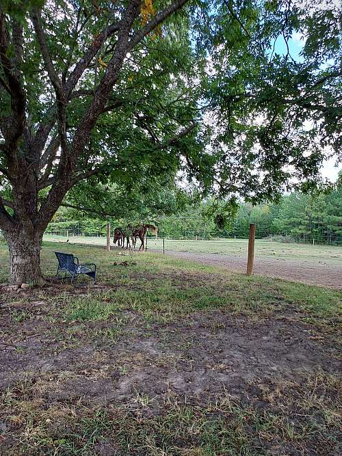 RH Farm on EquineNow