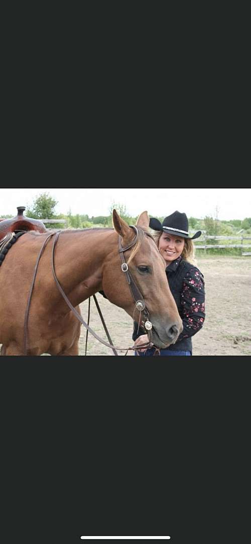 Tara Gamble Horsemanship on EquineNow