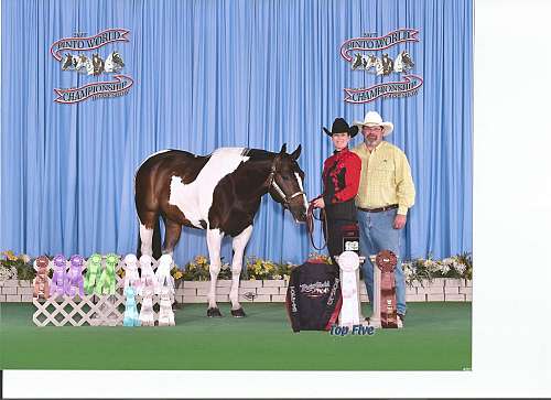 Fusion Stables on EquineNow