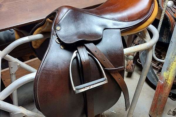 Collegiate jumping saddle