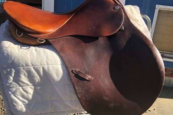 Stubben English saddle in GREAT CONDITION!