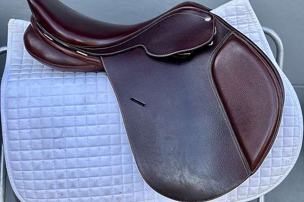 Colligate Convertible Adjustable Saddle