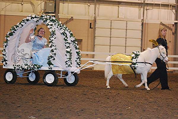 Wow Number One Tiny Therapy 24" to 26" Very Tiny**Pretty***