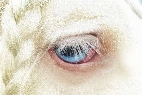 World Famous *Cloud 9*