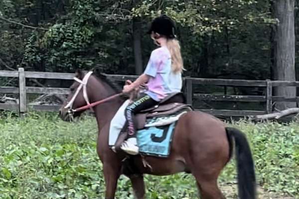 Safe, Gymkhana, Rodeo, Youth, Fun