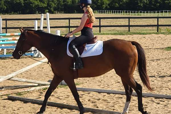 10/10 Gentle Mare, Quick to Learn, Huge Potential