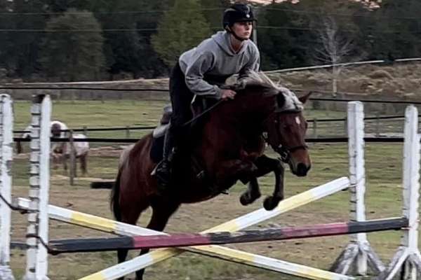 Cherry On Top--Medium Pony Mare, First Pony Type