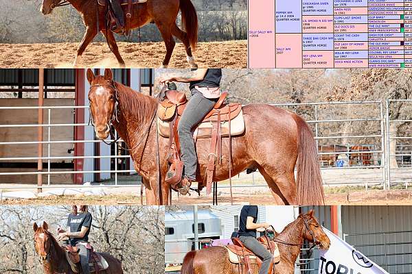 Flashy Coming 3yr Old AQHA Gelding - Ranch, Rope, OR Speed Prospect