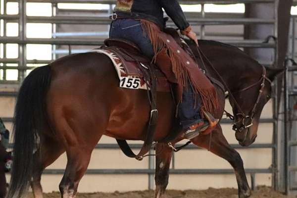 Finished, Versatile AQHA Mare