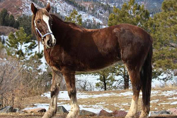 Solid Mare, Safe for Anyone