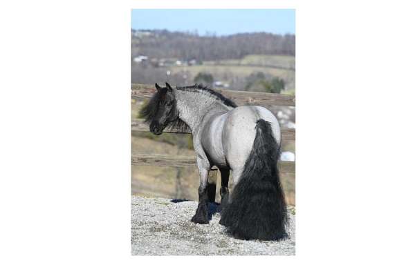 Beauty, Brains, & Broke the Best Fully Describes Arrow