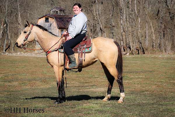 Youth and Beginner Friendly Buttermilk Buckskin Mare, Gentle and Quiet