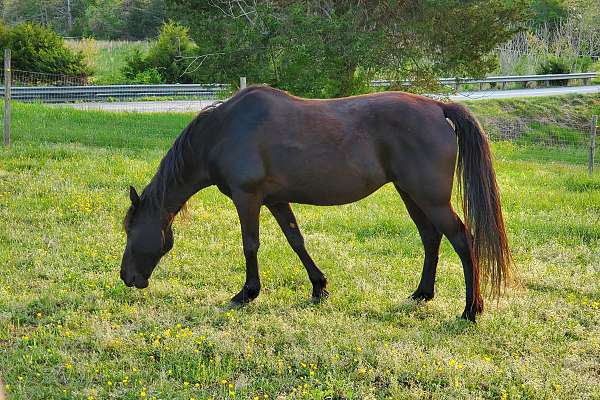 Price Reduced! She's Rare Cash Aka Ladybug