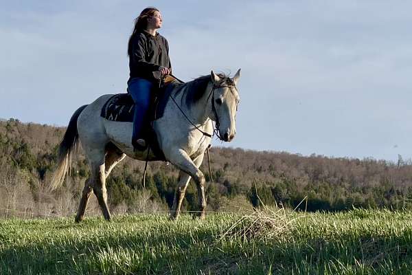 Working Ranch, Show, Trail