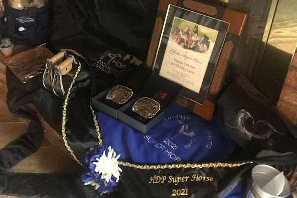 Stunning Registered Multi Champion Miniture Pinto Mare