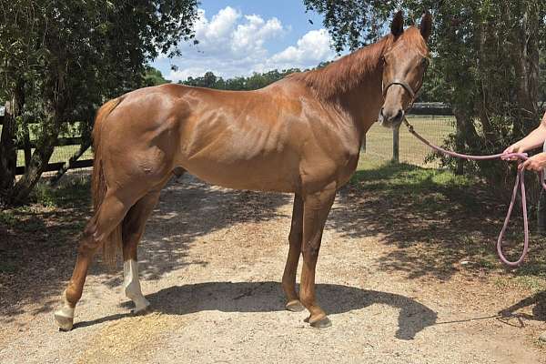 Super Laid Back Project!